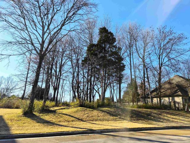 2447 sanders ridge dr