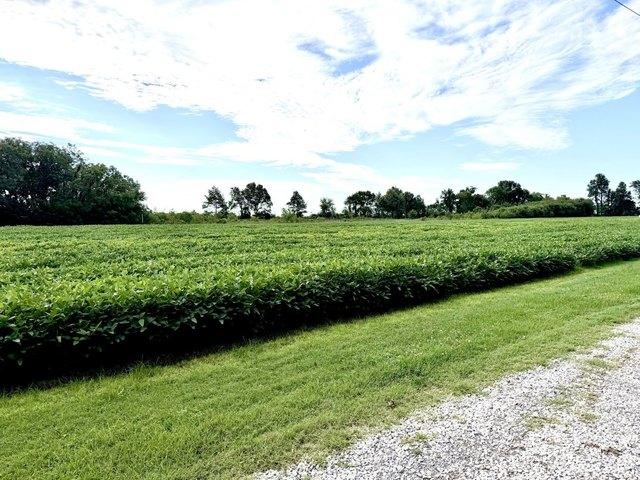 2447 W 416th Rd, East Prairie, MO 63845