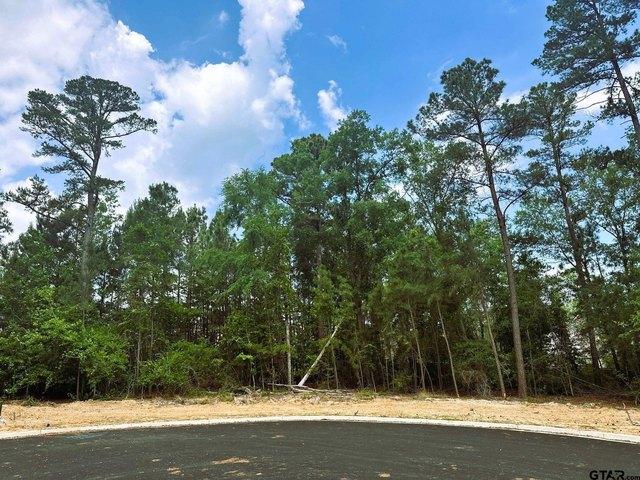 2449 Hidden Creek Cv, Tyler, TX 75703