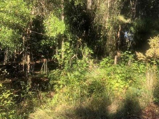 2440 S Robenson Ave, Florence, SC 29505