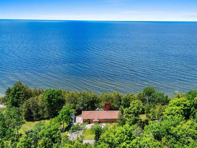 2441 white star road