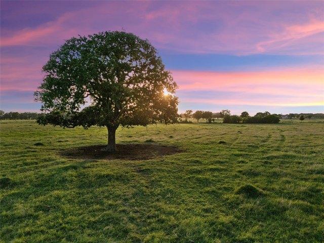 2442 Happy Swaner Ln, Axtell, TX 76624