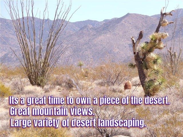 244 06 E Joshua Rd, Yucca, AZ 86438