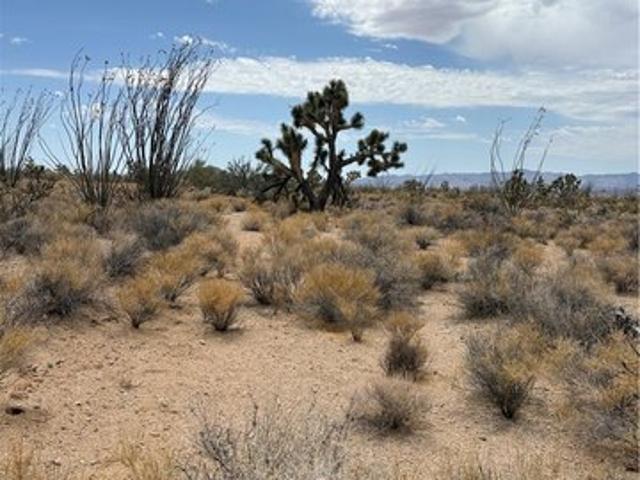244 08 Organ Pipe Pl, Yucca, AZ 86438