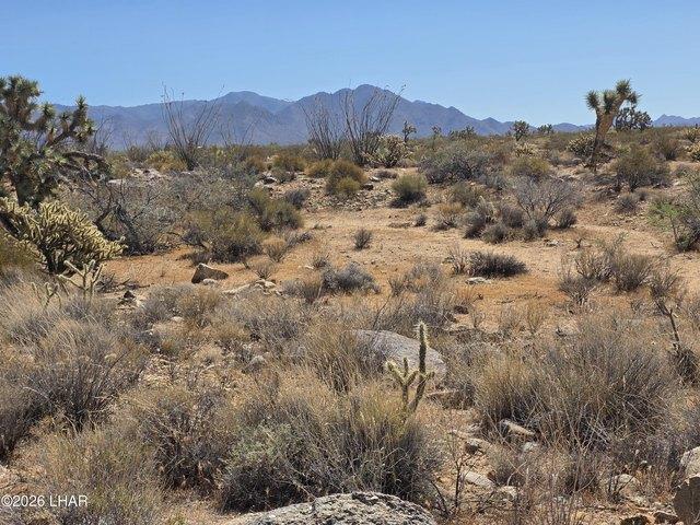 244 09 S Fox Dr, Yucca, AZ 86438