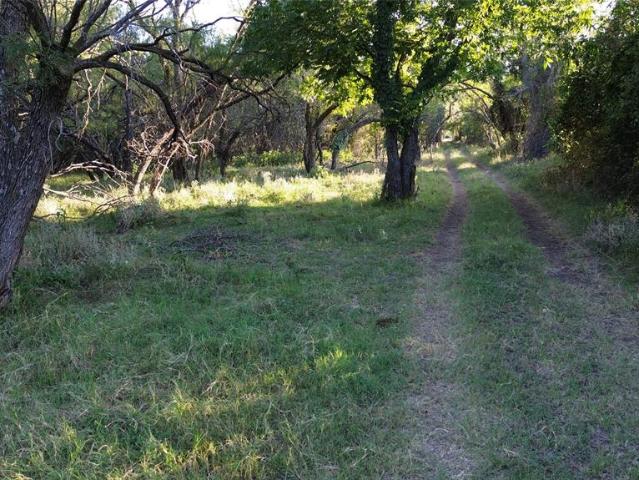 244 Comanche, TX 76442 | MLS #21015