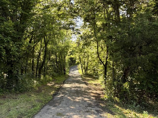 244A Access Rd