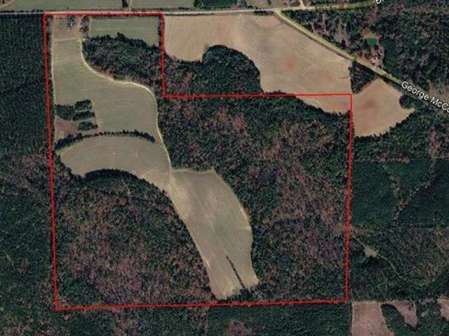 244 Blueville Rd, Buena Vista, GA 31803