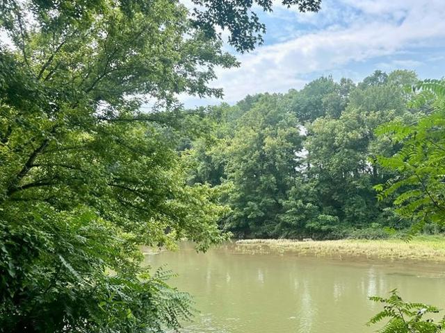 244 Garrett Rd, Killen, AL 35645