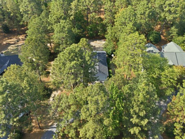 244 Firetree Lane