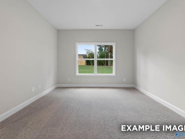 244 Irish Hill Drive
