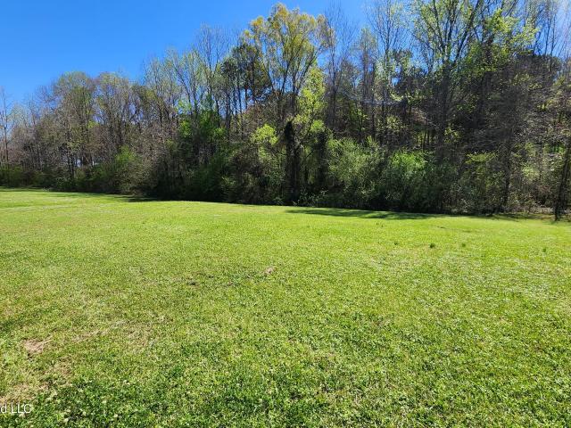 244 Levon Owens Drive