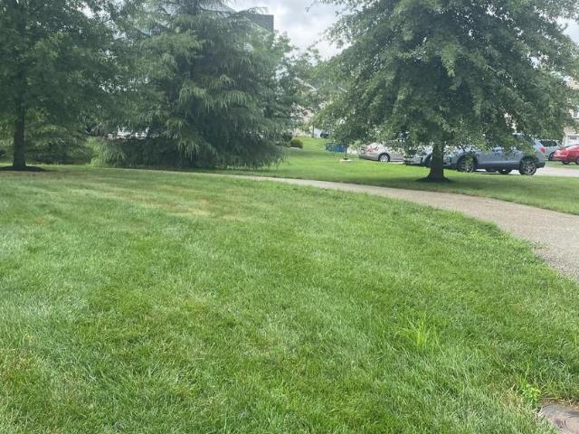 244 Macdonald Avenue Unit 16, Wyncote, US, PA