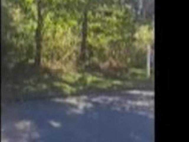 244 Normandy Ln Lot 10, Chelsea, AL 35043
