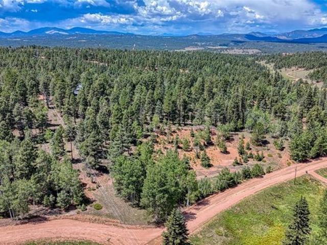 244 Spring Valley Ln Lot 972, Florissant, CO 80816