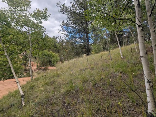 2455 Yorktown Road