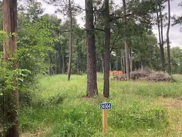 24564 24568 Riley Rd, Plantersville, TX 77363