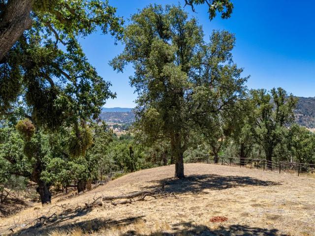 24590 Deertrail Drive