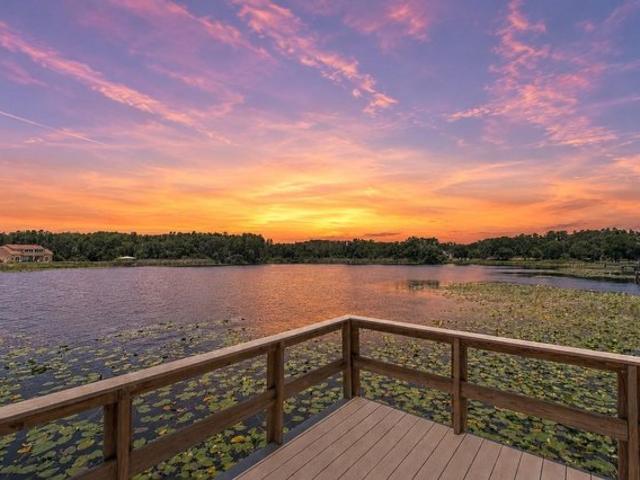 2459 Shorewood Ln, Land O Lakes, FL 34639