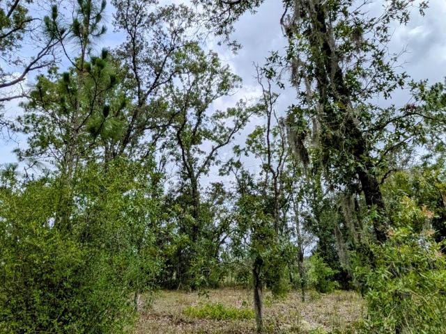 2450 W Rutland Dr, Citrus Springs, FL 34434 | MLS #R11099 | Compass