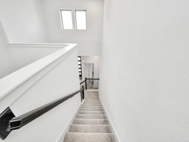 24515 Fluttering Dove Lane