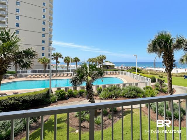 24522 Perdido Beach Boulevard UNIT 4209