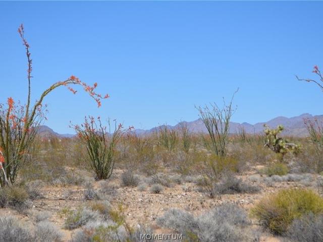 245 24 S Red Lake Rd, Yucca, AZ 86438