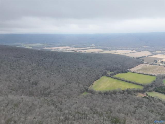 245 AC County Road 106