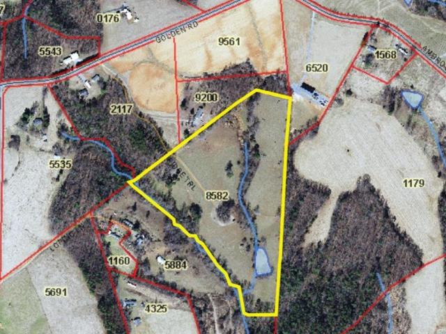 245 Brentons Ridge Trail