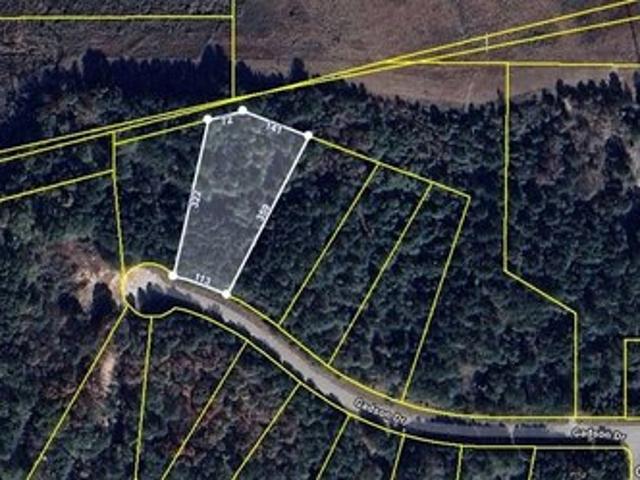 245 Gadson Dr, Fayetteville, GA 30214
