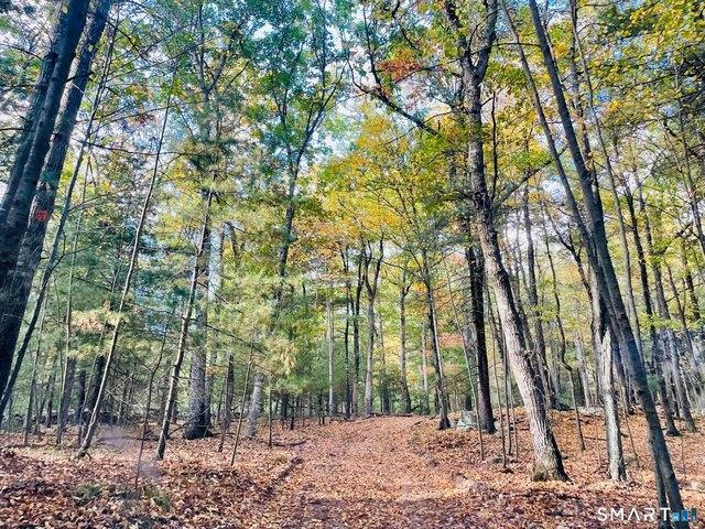 245 Knollwood Dr, Glastonbury, CT 06033