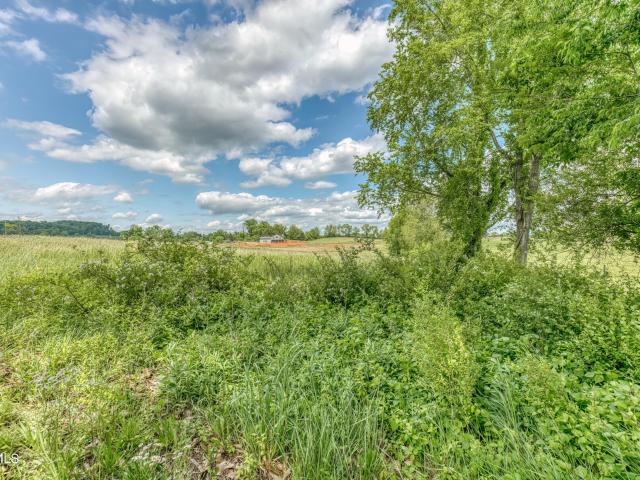 245 King Lane Lot 1