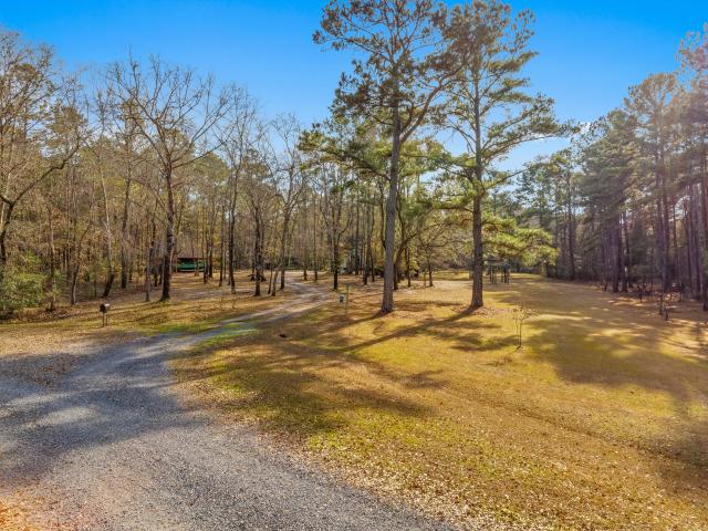 245 Kingrail Lane