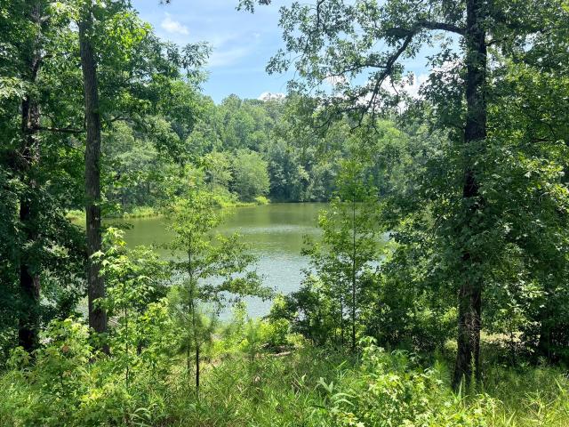 245 Hodges Bay Drive