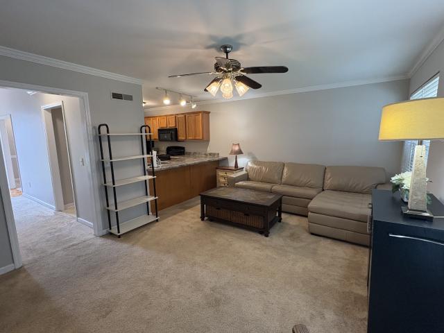 245 Indian Park Dr