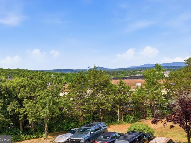 245 K9 Brandy Court
