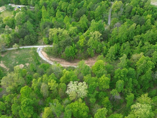 245 McConnell Branch Road