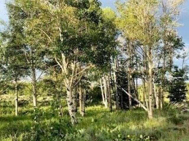 245 N Whispering Pines Rd Unit 19, Kolob, UT 84767