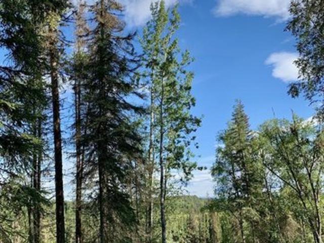 245 Nevada St, Kenai, AK 99611