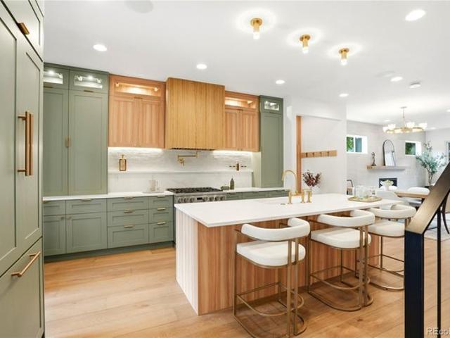 245 S Emerson St, Denver, CO 80209