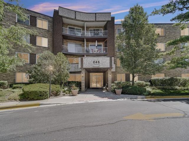 245 S Park Ln Unit 419, Palatine, IL 60074