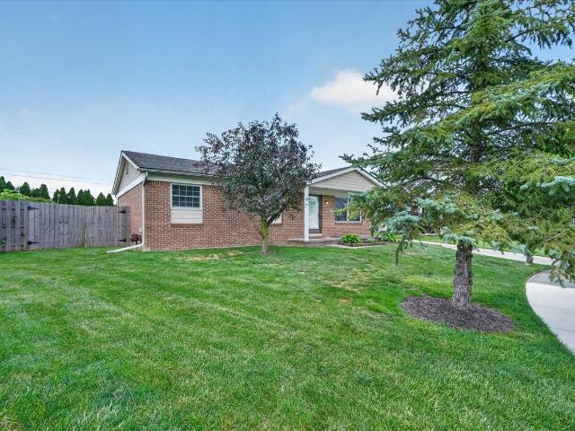 245 Roseland Drive