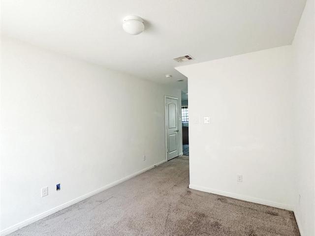 245 Water Oak