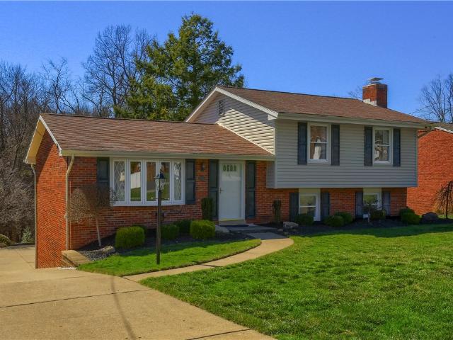 245 Wyngate Road