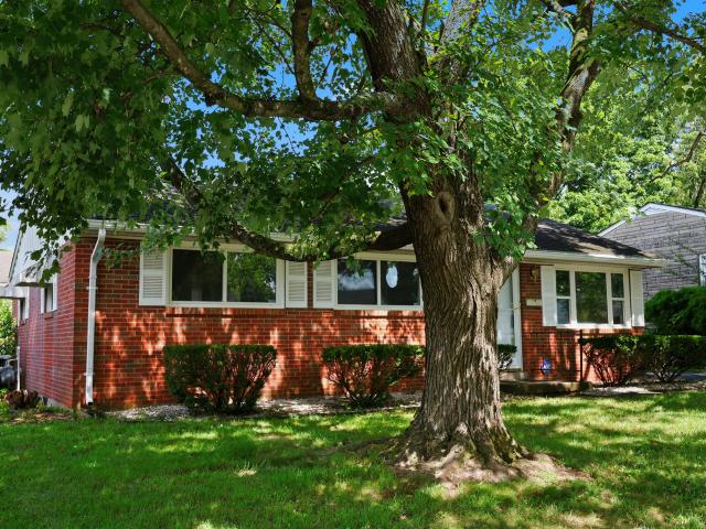 245 Vanderbilt Drive