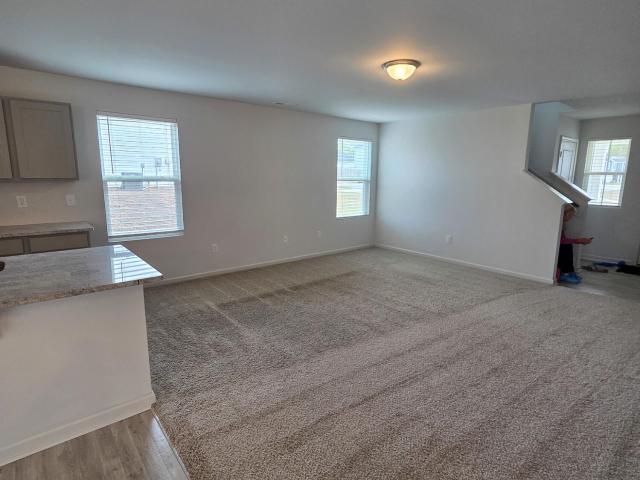 245 Yellowwood Ave, Spring Hope, NC 27882 | MLS #10156 | Compass