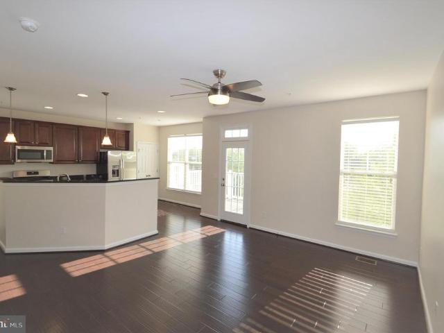 24646 Jackalope Terrace