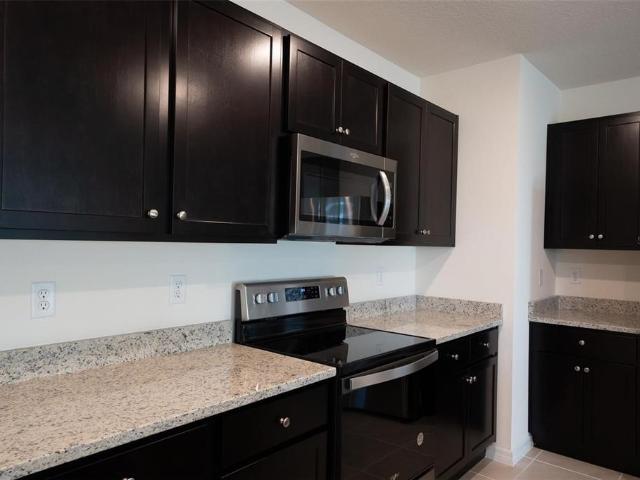 2464 Ribbon Fall Ave, Davenport, FL 33837 | MLS #O6352