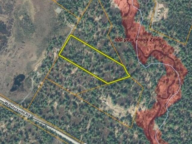 2465 Petersville Rd, Trapper Creek, AK 99683