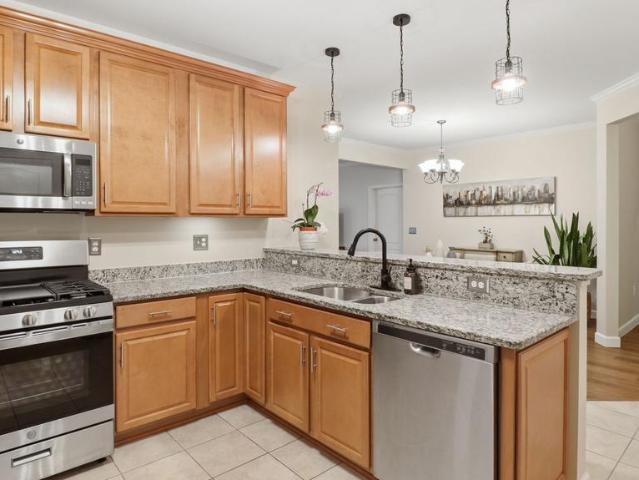 24660 Woolly Mammoth Terrace # 305